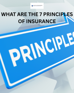 What Are the 7 Principles of Insurance? A Complete Guide ...